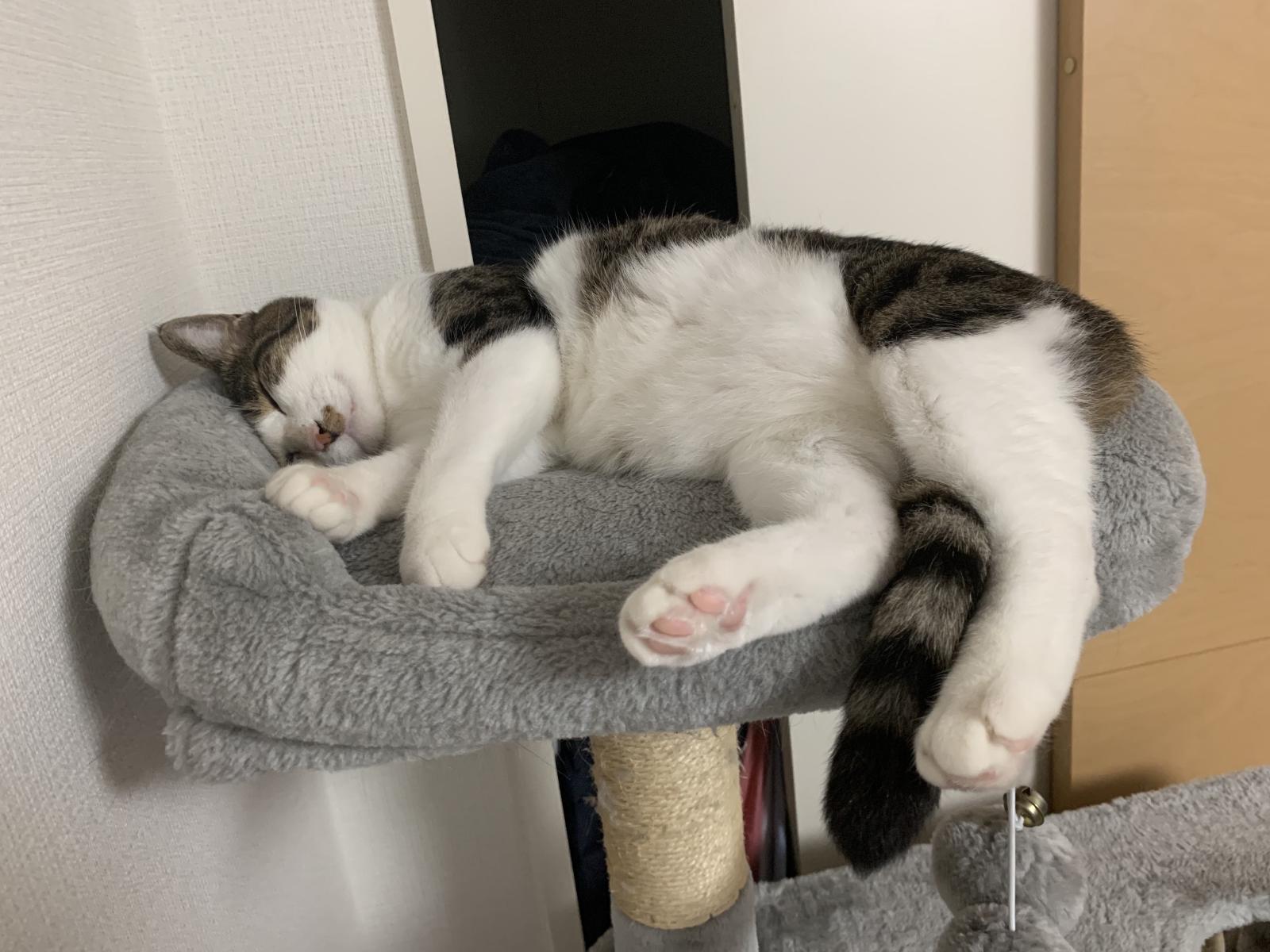 Kubernetesのsample-controllerをDeploymentとして動かす